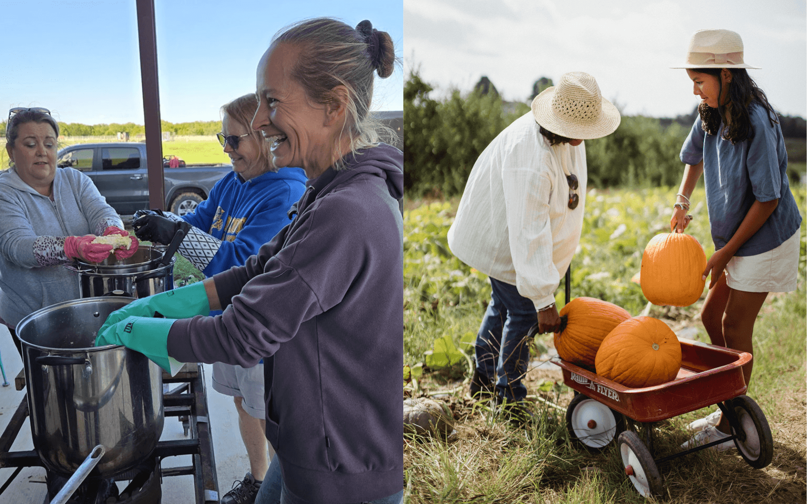 Agritourism vs. Agritainment: What’s the Difference (and Why It Matters)